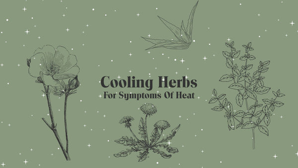 Harnessing the power of cooling herbs - Apotheka Herbal